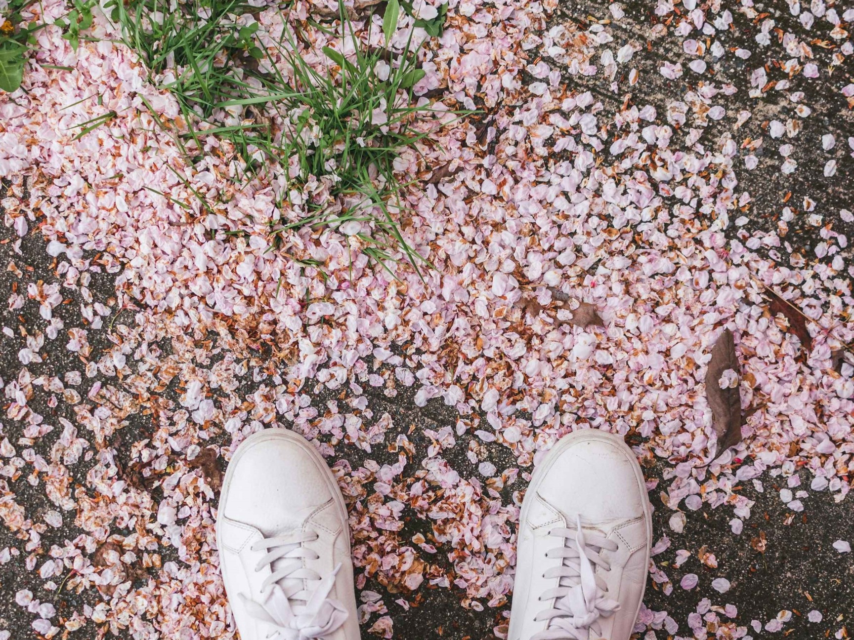 25 Outfit Ideas to Elevate Your Look with Sakura Shoes – GSK Fashion Style
