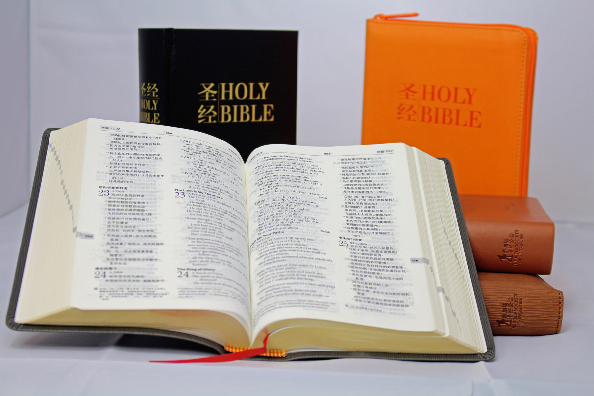 Bibles – Sower Essentials