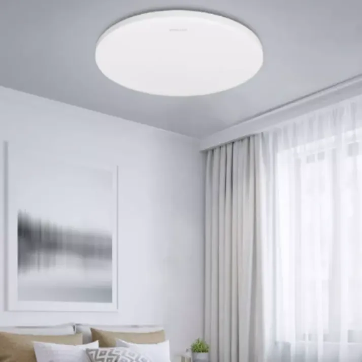 Philips Braid AIO LED Ceiling Light with Remote – Light Makers