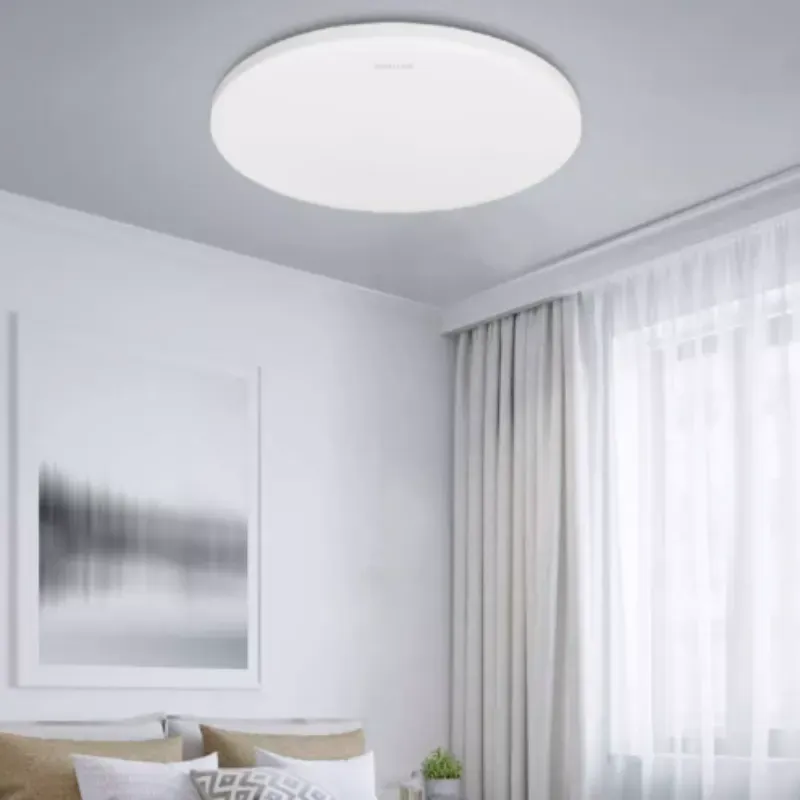 Philips Braid AIO LED Ceiling Light with Remote – Light Makers