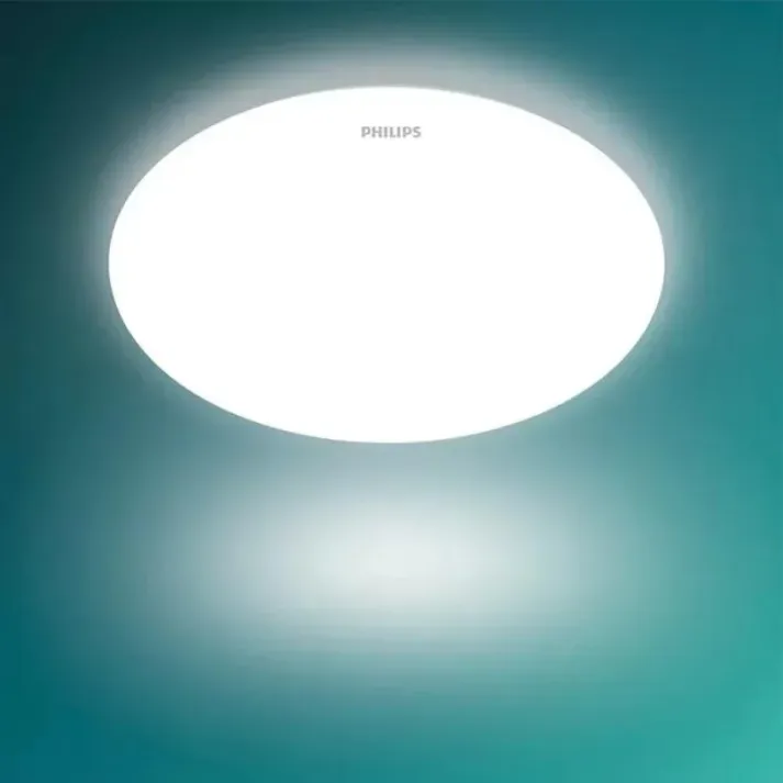 Philips Braid AIO LED Ceiling Light with Remote – Light Makers