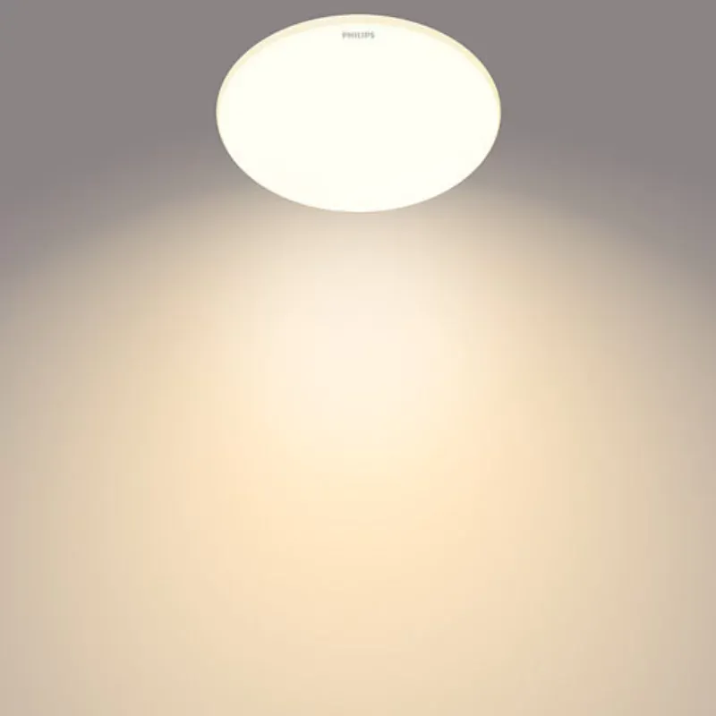 Philips Braid AIO LED Ceiling Light with Remote – Light Makers