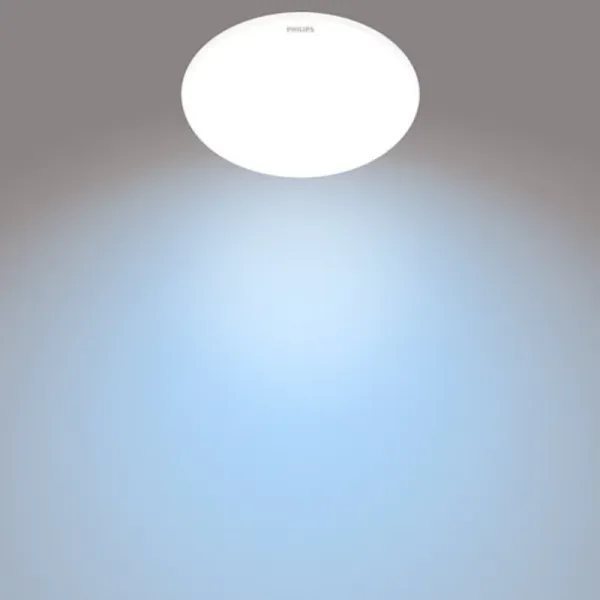Philips Braid AIO LED Ceiling Light with Remote – Light Makers