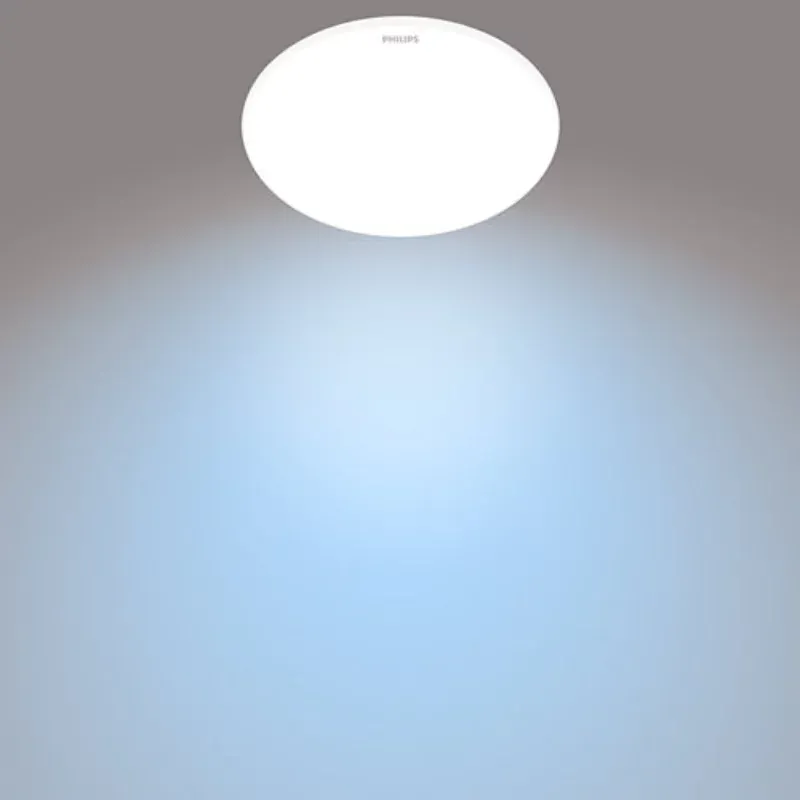 Philips Braid AIO LED Ceiling Light with Remote – Light Makers