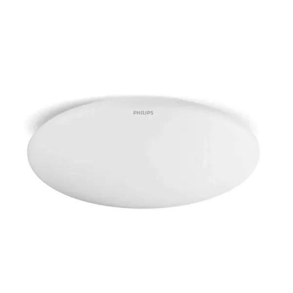 Philips Braid AIO LED Ceiling Light with Remote – Light Makers