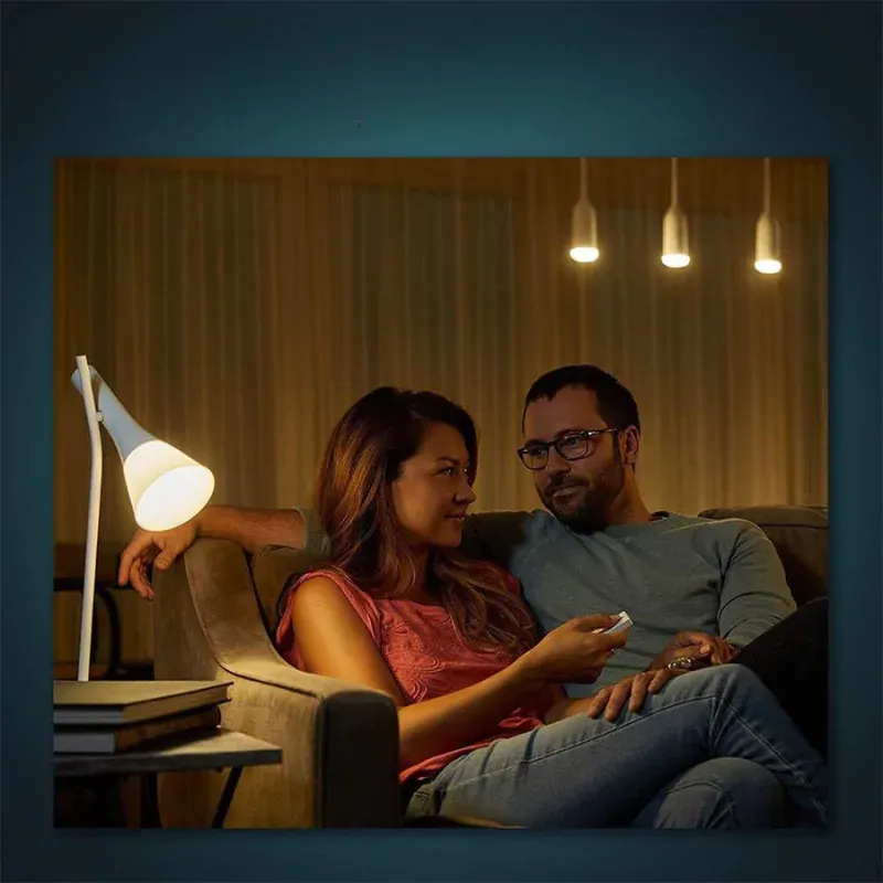 Philips Hue Smart Dimmer Switch – Light Makers
