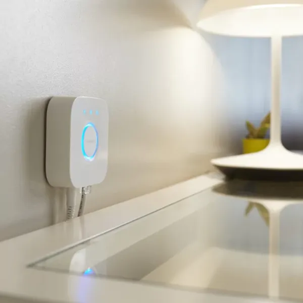 Philips Hue Smart Bridge: Command Your Hue Ecosystem – Light Makers
