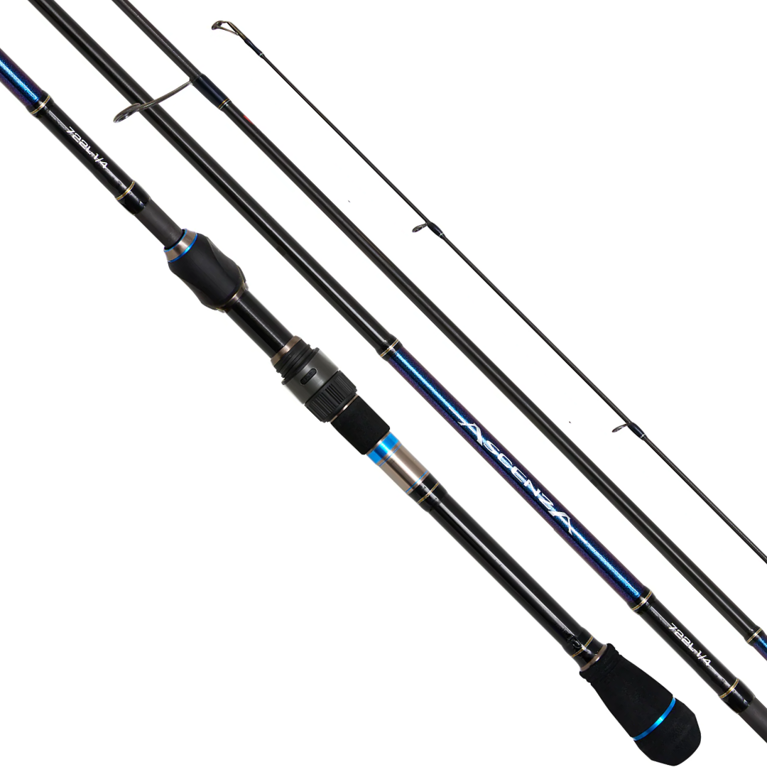 Shimano Ascenza Spinning Fishing Rod – Otto's Tackle World
