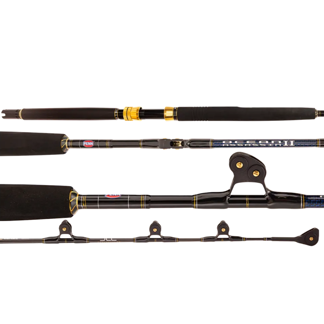 Penn Ocean Assassin II Game Series Overhead Fishing Rods – Otto's ...