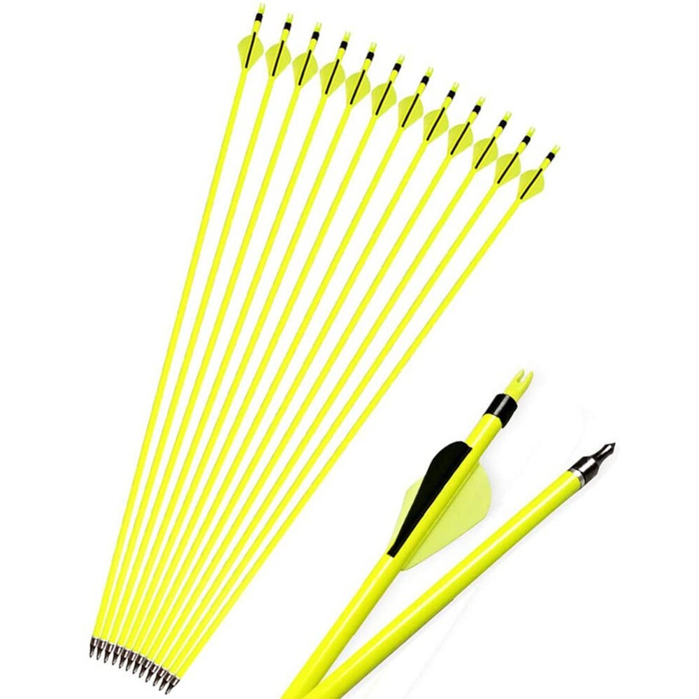 Carbon Archery Arrows 500 Spine 100gr Removable Tips 2" Rubber Vanes ...