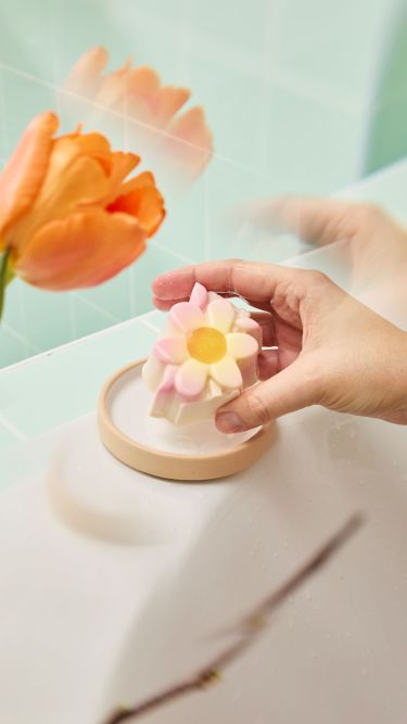Soaps – LUSH