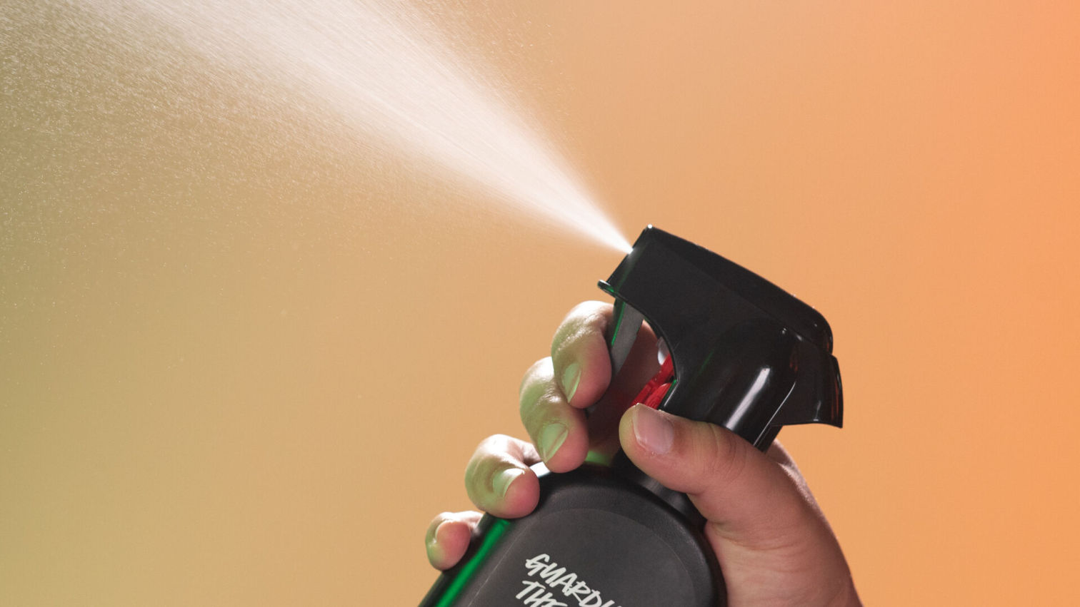 Body Sprays – LUSH FRESH HANDMADE COSMETICS