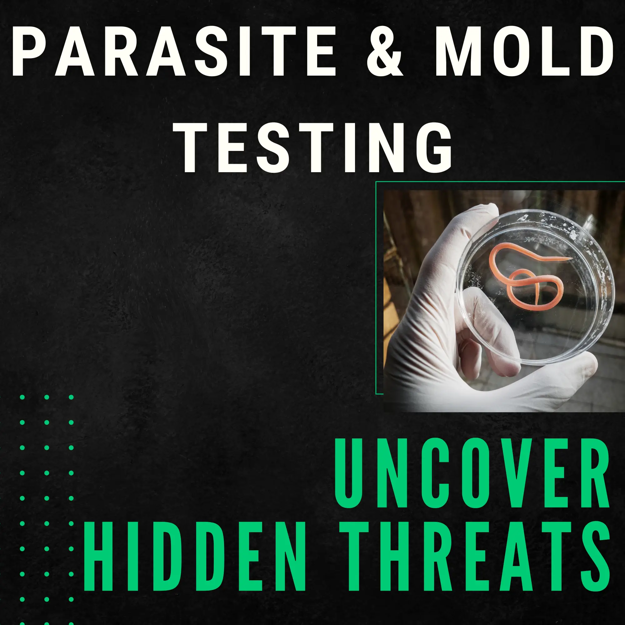Parasite & Mold Testing Package | FORM – formbali.com