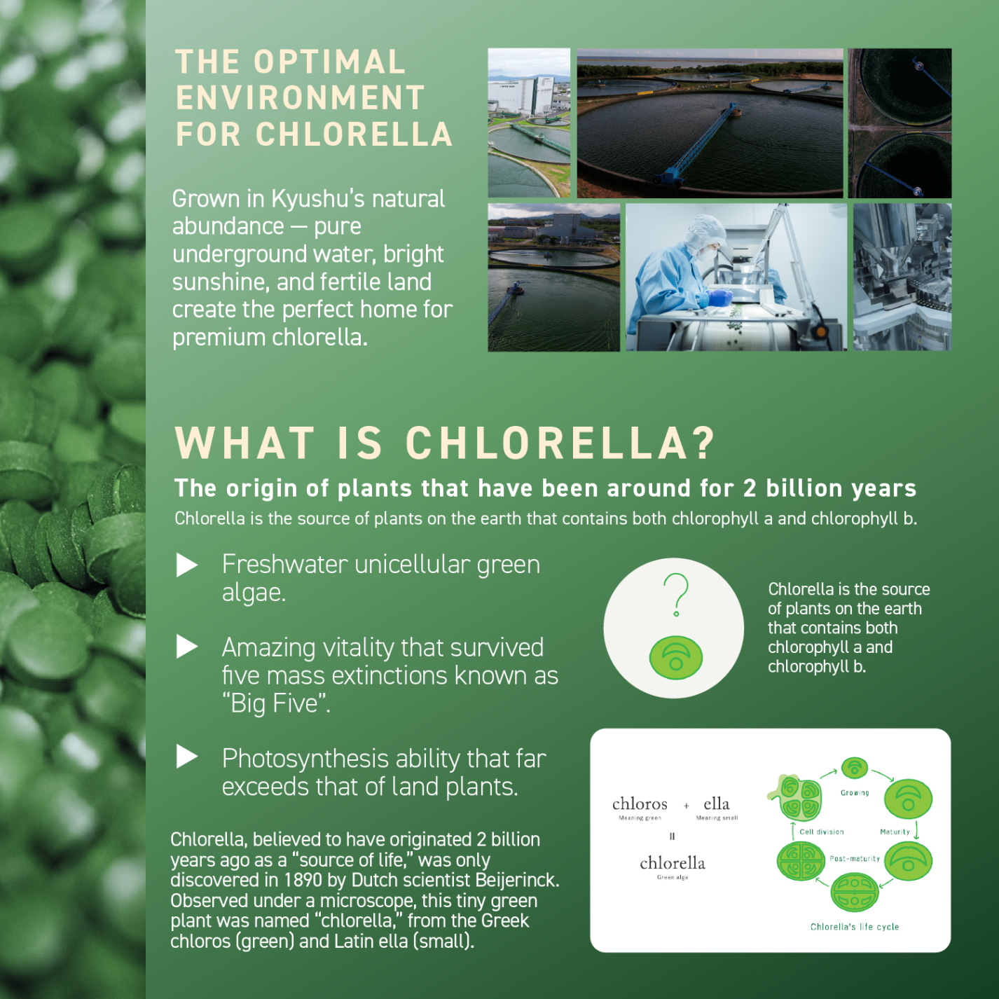CHLORELLA THEORY (1-pack) – BEME JAPAN