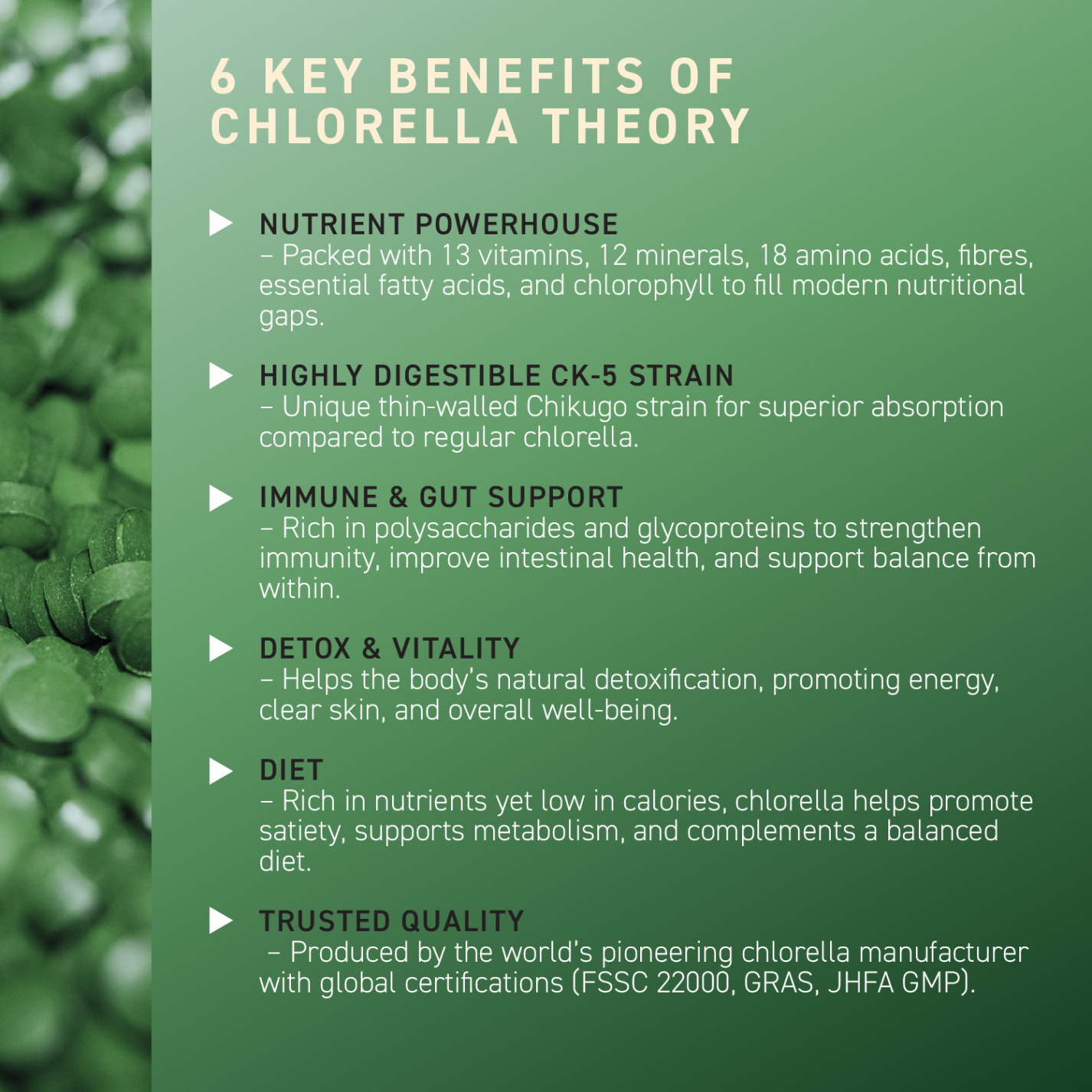CHLORELLA THEORY (1-pack) – BEME JAPAN