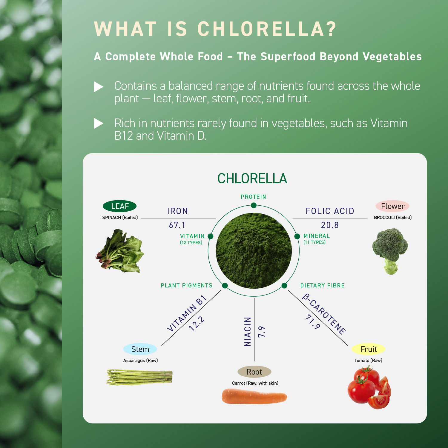 CHLORELLA THEORY (1-pack) – BEME JAPAN
