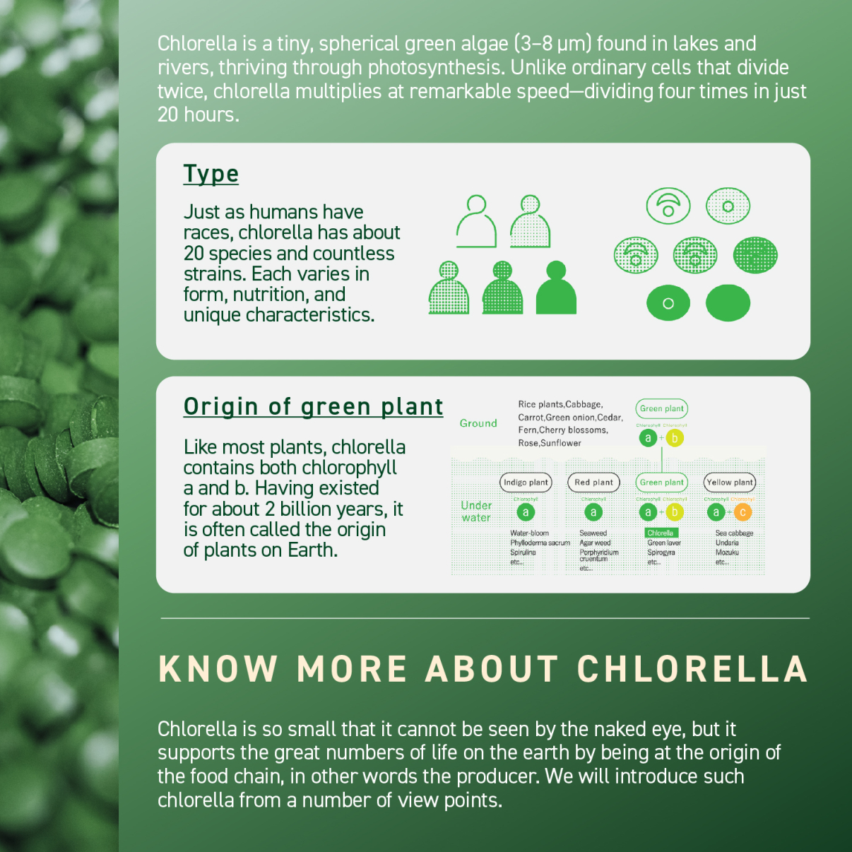 CHLORELLA THEORY (1-pack) – BEME JAPAN