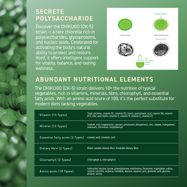 CHLORELLA THEORY (1-pack) – BEME JAPAN