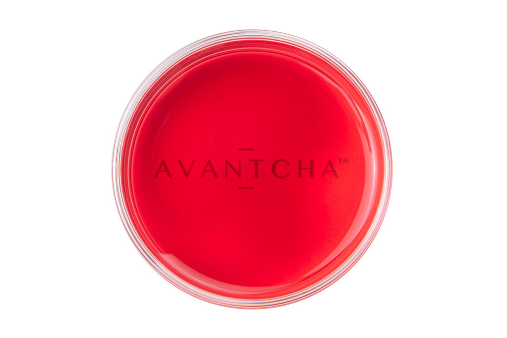 Honeybush Chocolate | AVANTCHA™ Tea Thailand