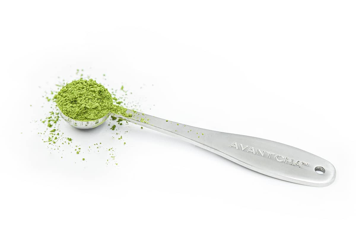 Stainless Steel Matcha Spoon | AVANTCHA™ Tea Thailand