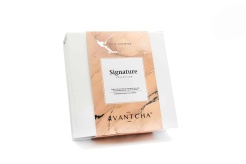 Signature Collection White | AVANTCHA™ Tea Thailand