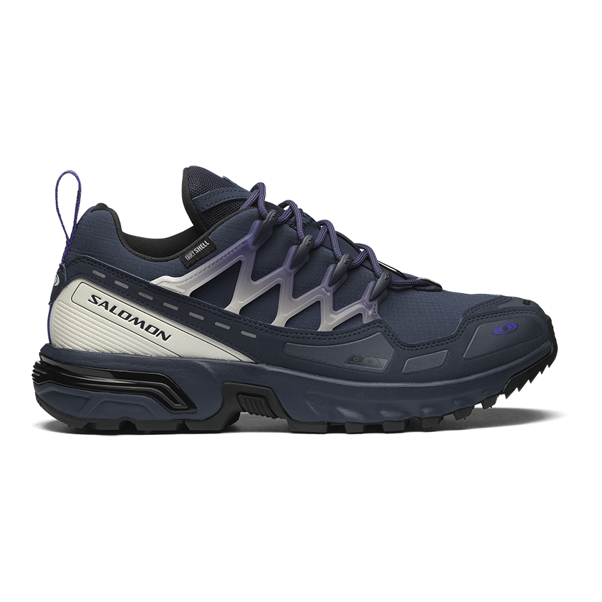 ACS – SALOMON SG ACS – SALOMON SG