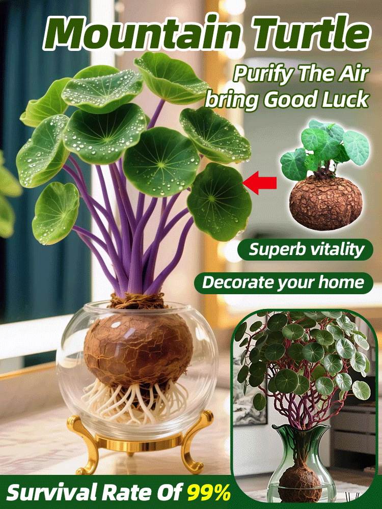 All Products – aimierbuy