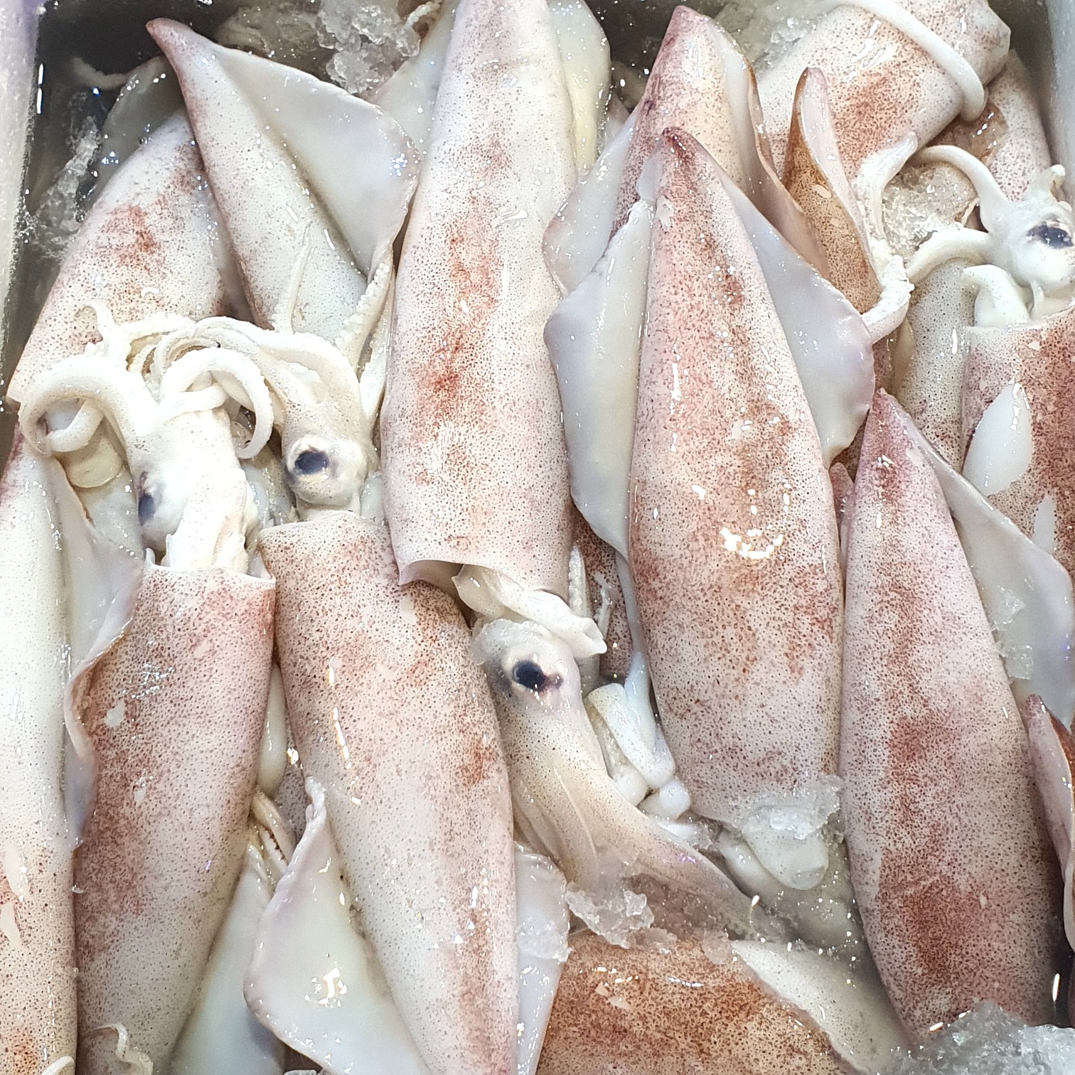 Fresh Seafood Delivery in Singapore - VitaminSeafood