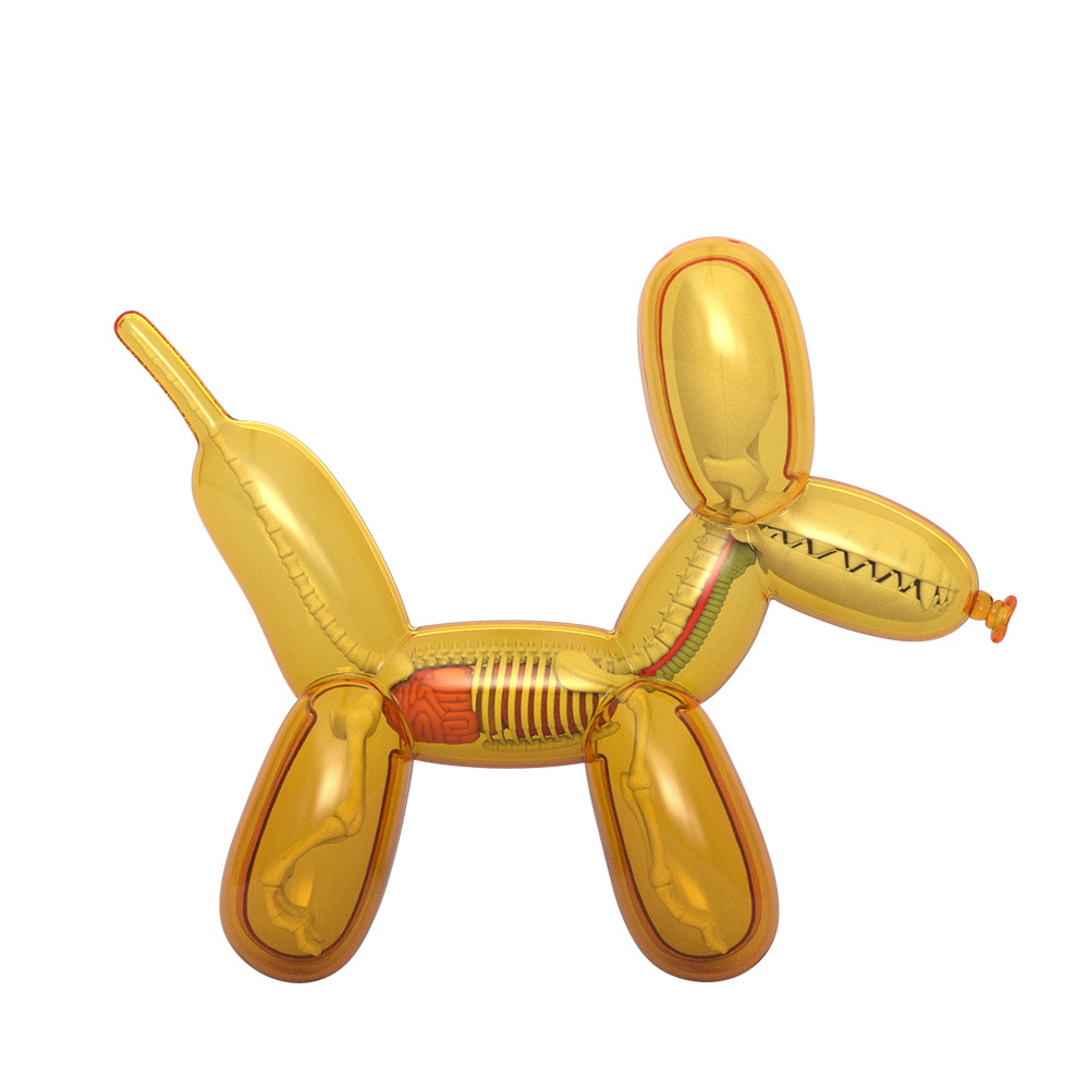 Funny Anatomy Balloon Dog (Honey Edition)