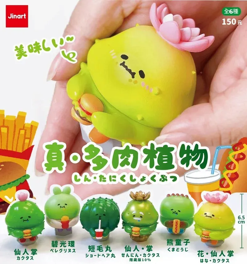 Succulents Plants blind box series