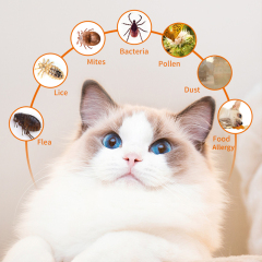 Chlorpheniramine Maleate Itchy Skin Relief Tablets For Dogs/ Cats