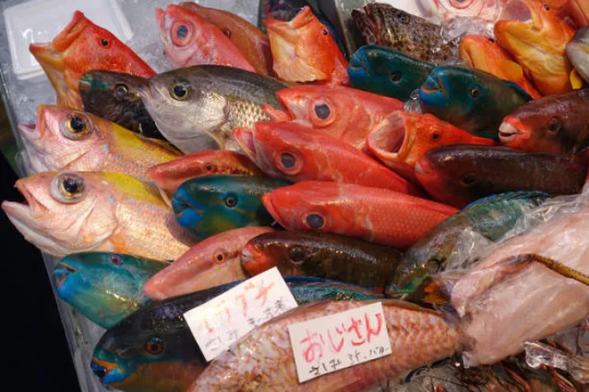 Fresh Fish Box 3Kg/5KG/8KG