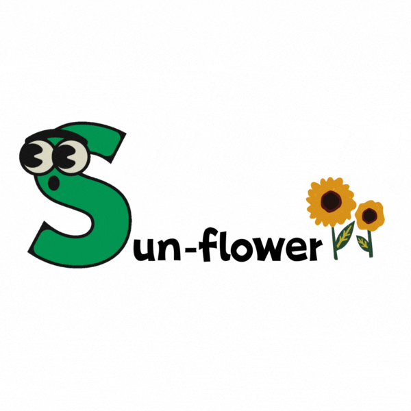 All Collections Sun Flower
